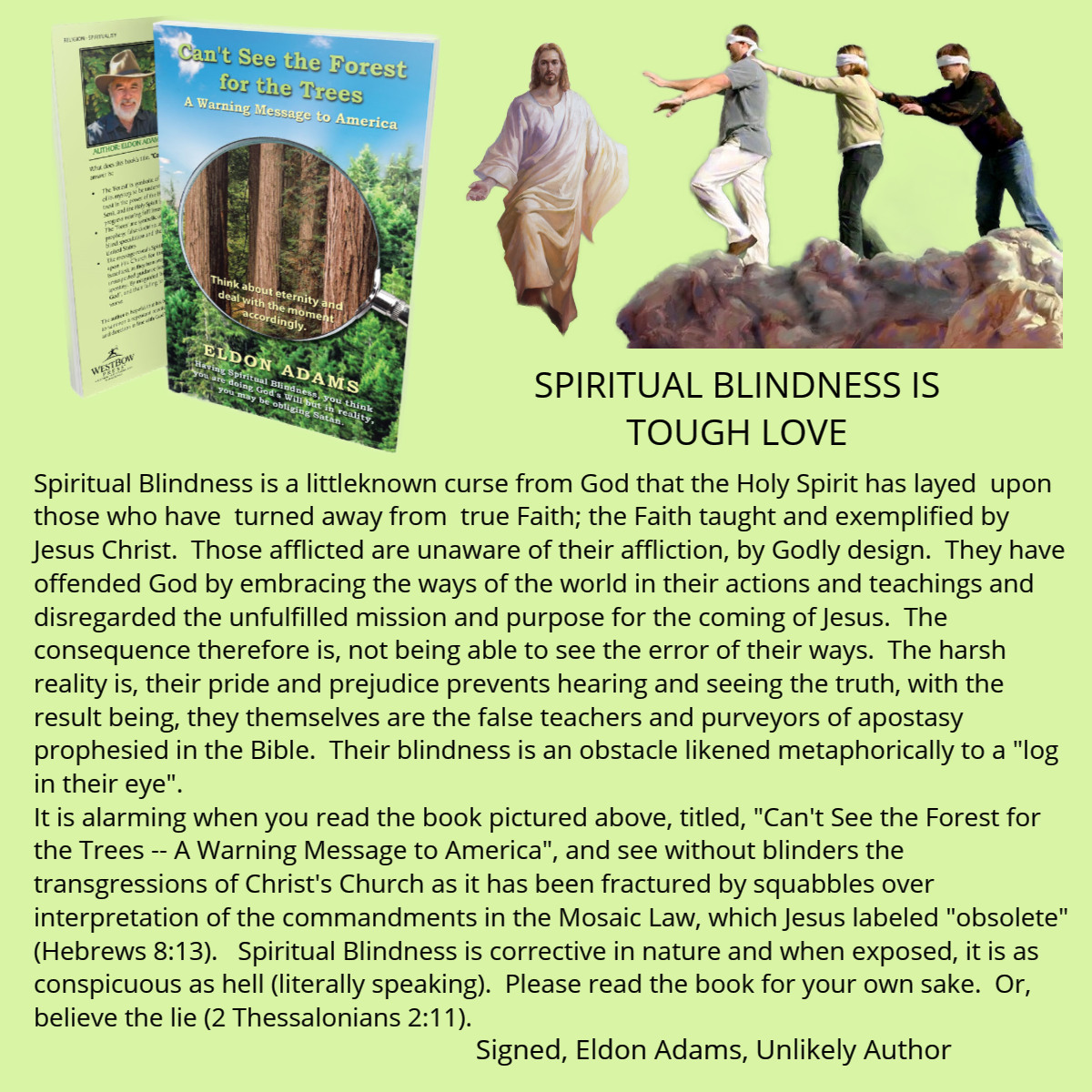 SPIRITUAL BLINDNESS IS TOUGH LOVE - Can't See the Forest for the Trees