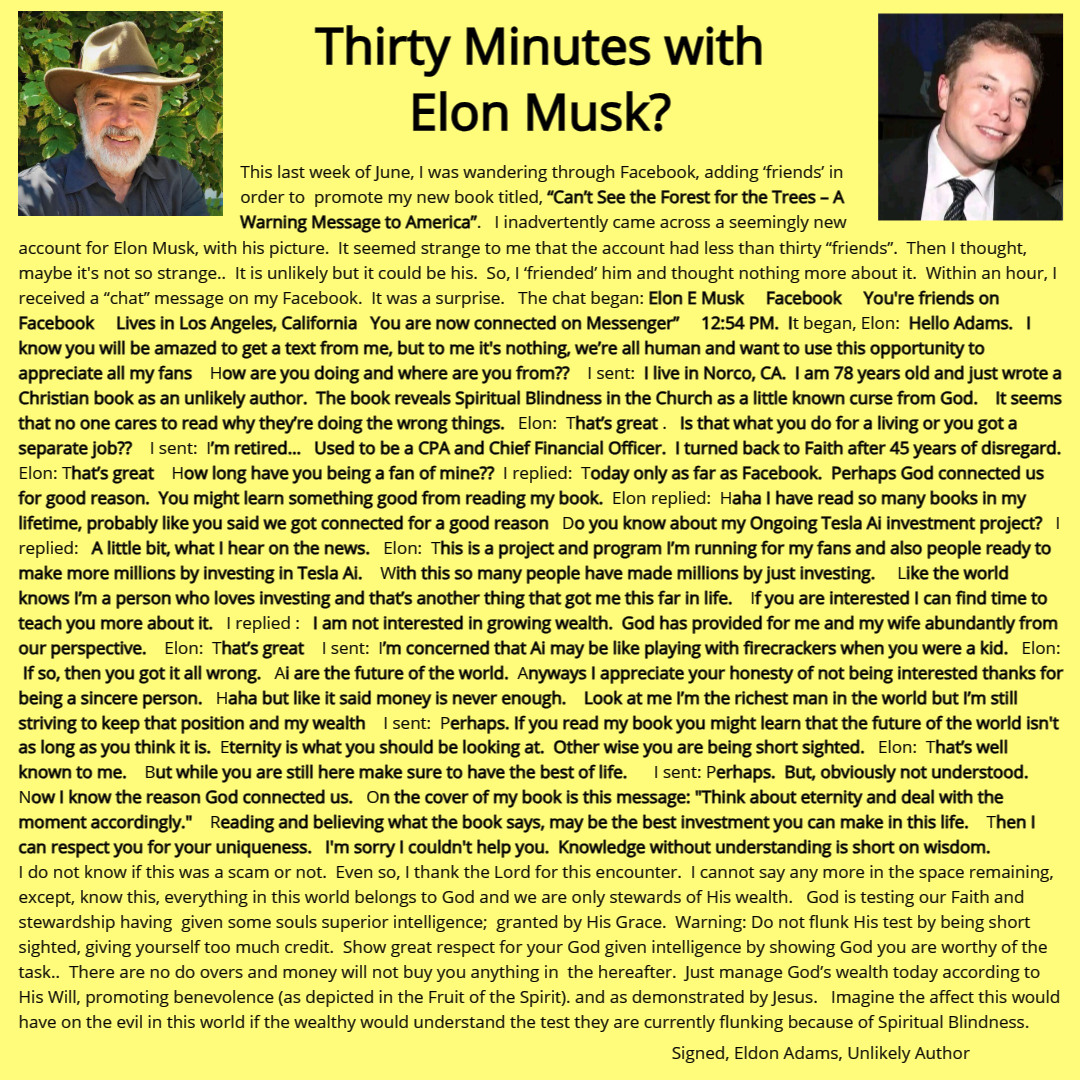 Thirty Minutes with Elon Musk? - Can't See the Forest for the Trees