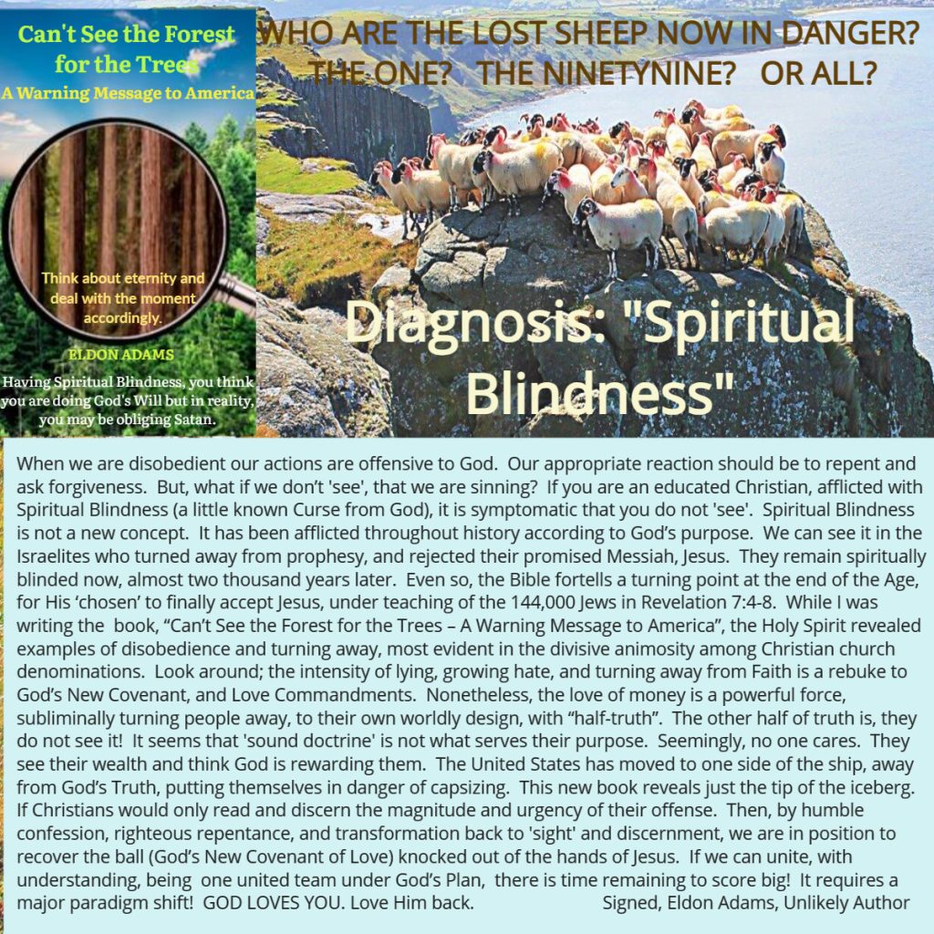 DIAGNOSIS: “Spiritual Blindness” - Can't See the Forest for the Trees